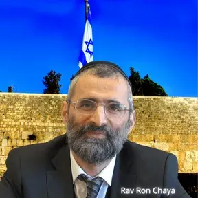 Listen to Myleava - Rav Ron Chaya | Zeno.FM