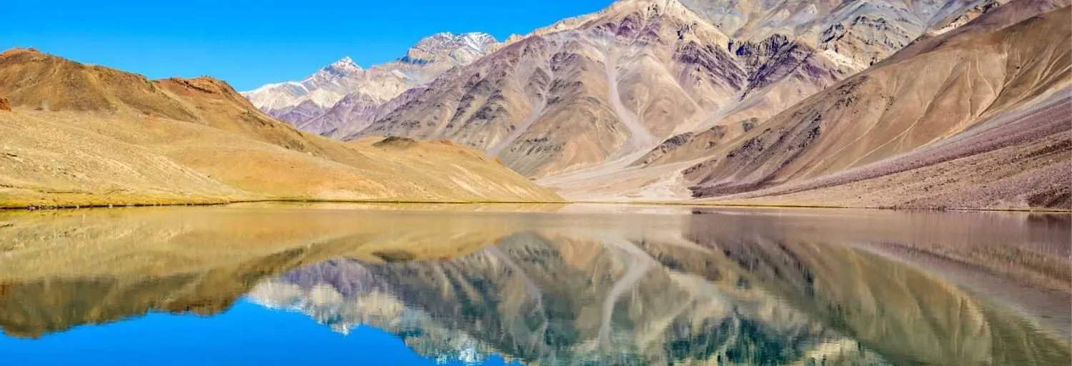 Listen to PROYECTO INSTRUMENTAL | Zeno.FM