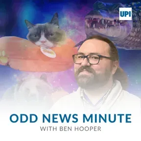 Listen to UPI Odd News Minute | Zeno.FM