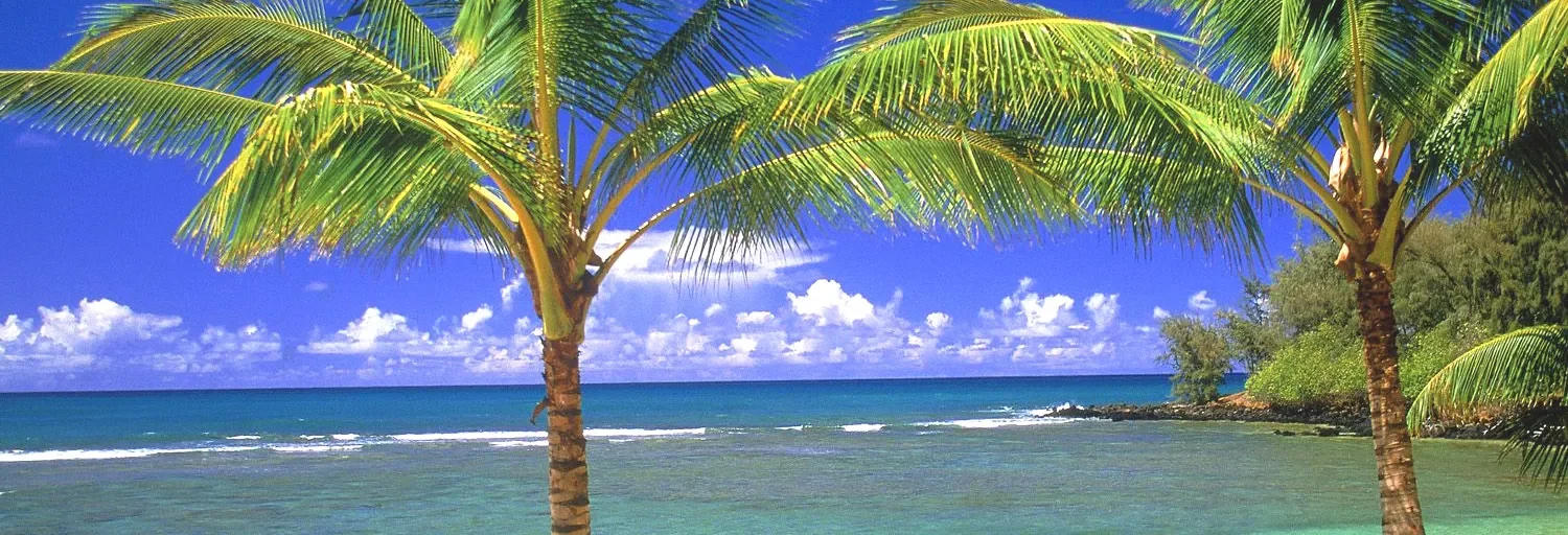 Listen to Tropical 100 Suave | Zeno.FM